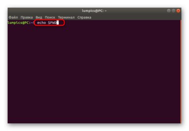 Команда PWD в Linux